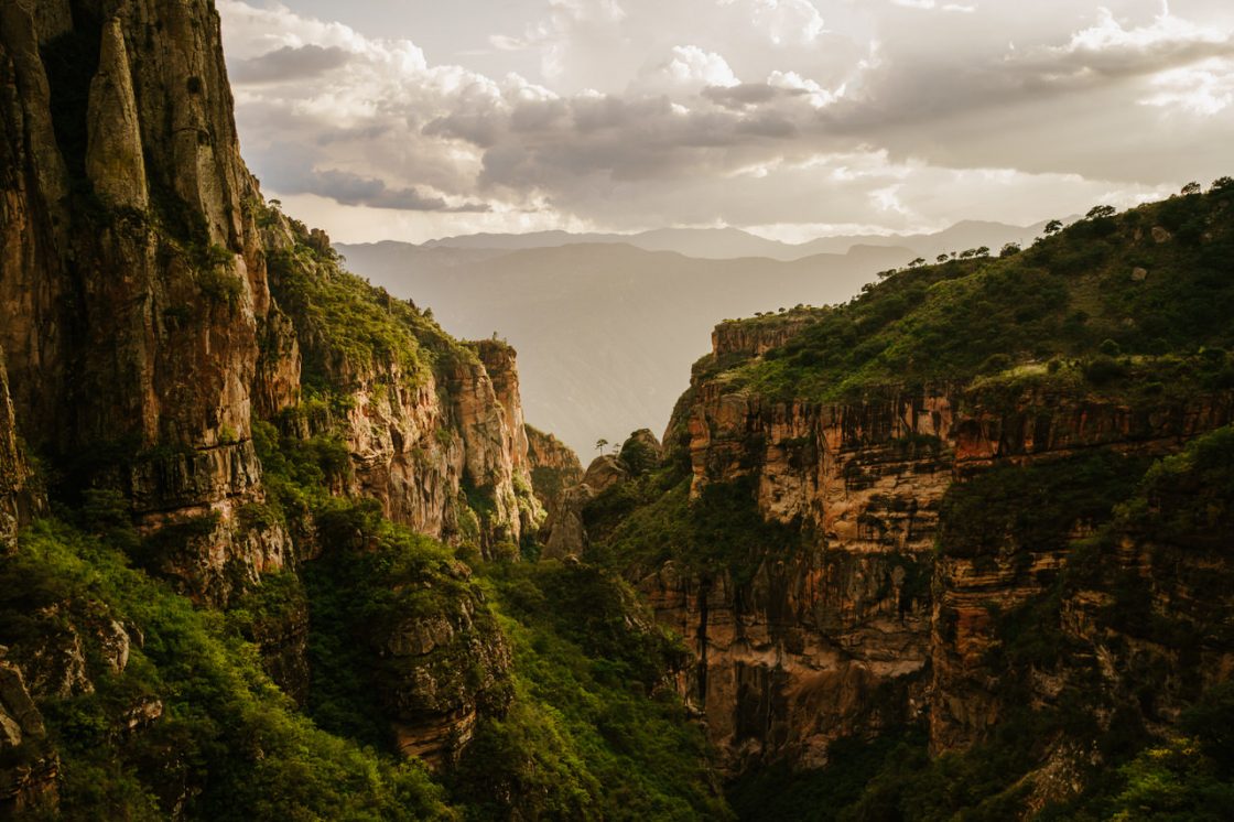 Preboda de Aventura en Kokoyome: Hassell y Mau – Sergio Quezada
