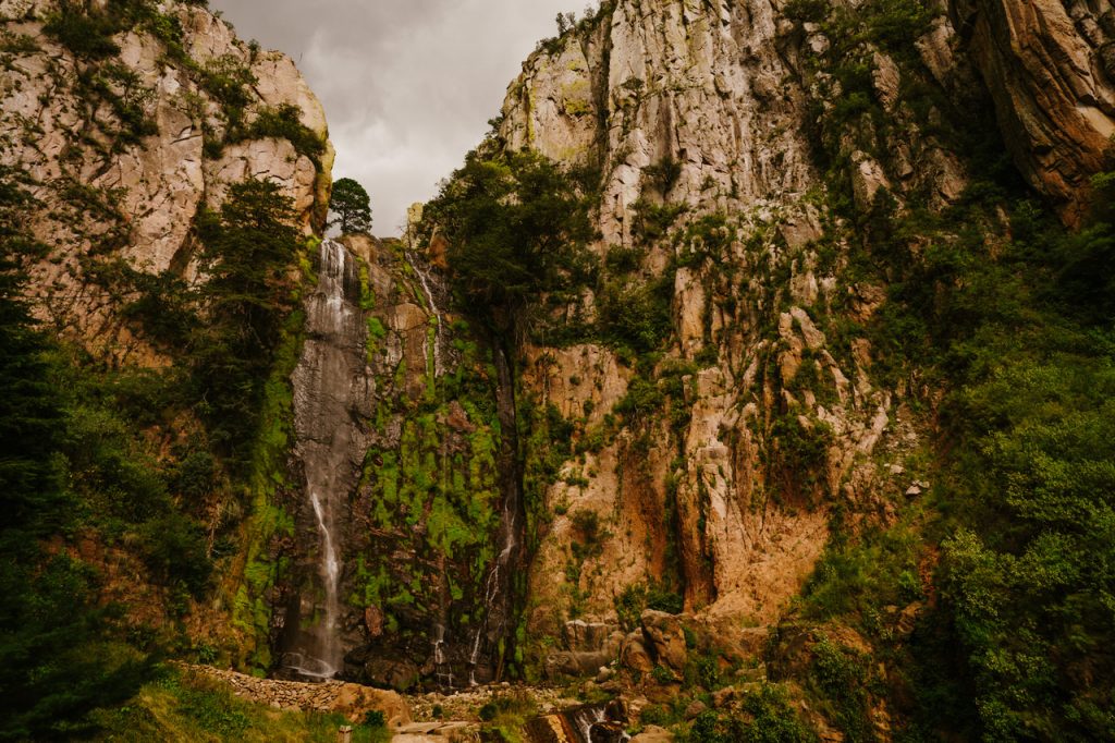 Preboda de Aventura en Kokoyome: Hassell y Mau – Sergio Quezada